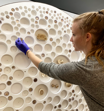 Caring for the Science Museum Group Collection | Human Tissue Authority